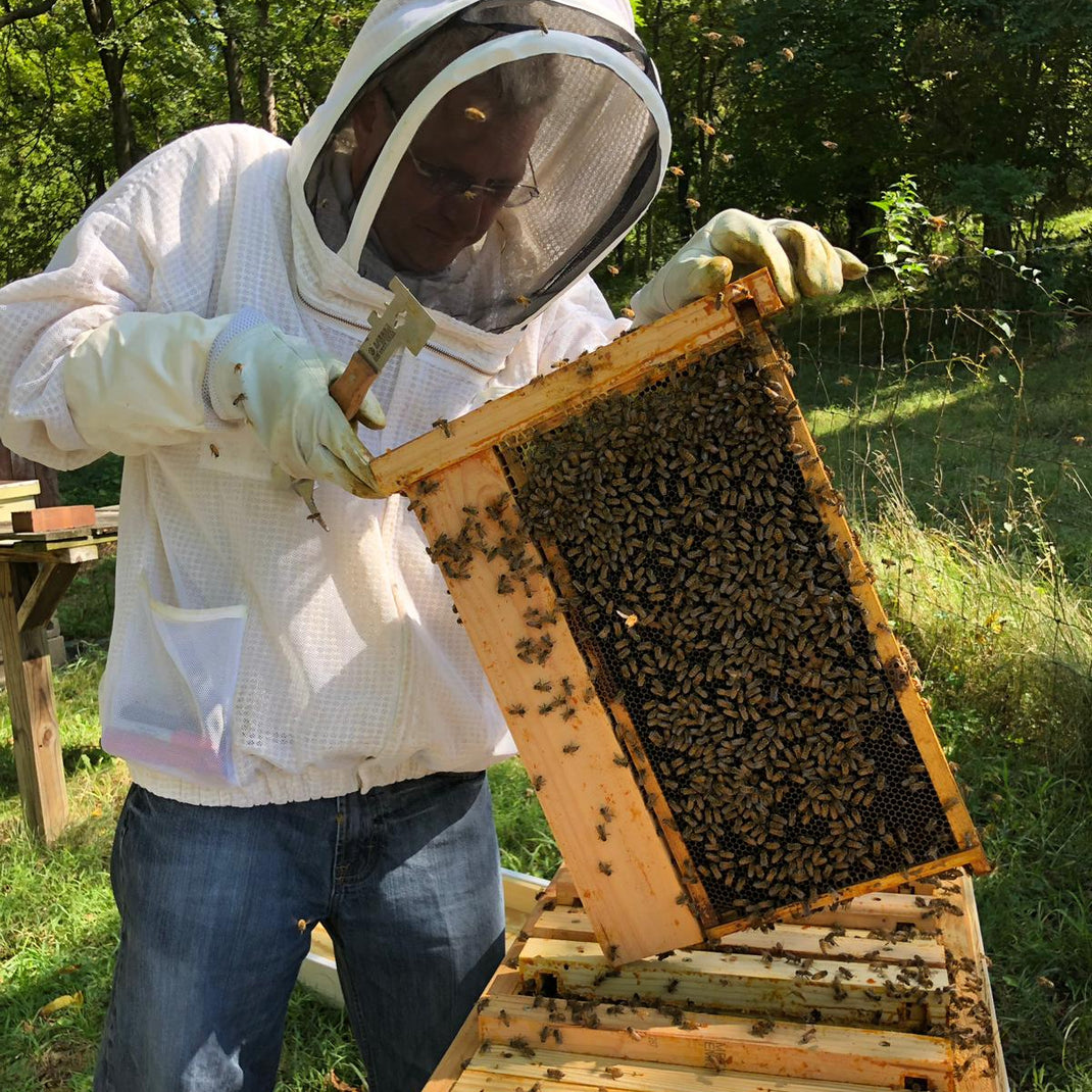 About Engaged Bees – Engaged Bees, LLC
